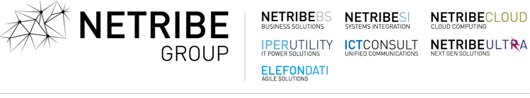 NETRIBE GROUP - Supporto